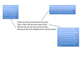 Lyrical Analysis Of Birdy | PPT