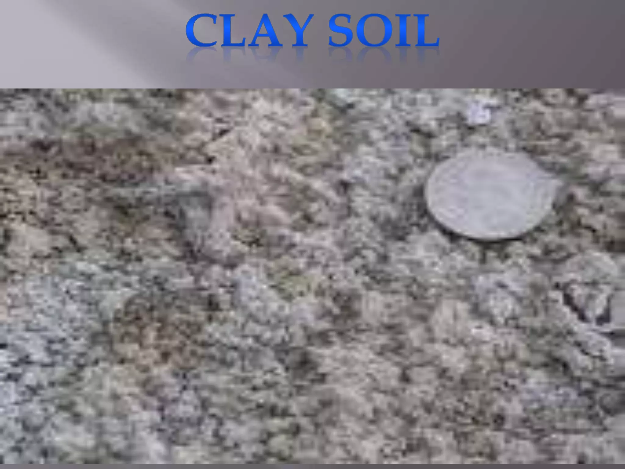 types of soil and water absorption | PPTX