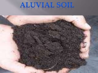 types of soil and water absorption | PPT
