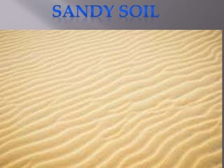 types of soil and water absorption | PPT