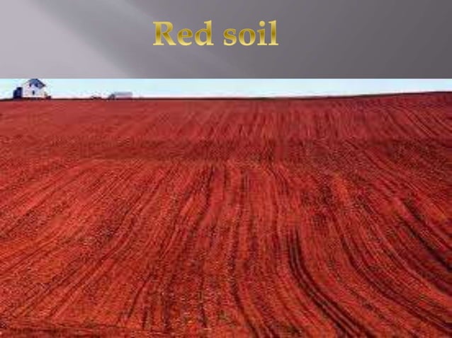 types of soil and water absorption | PPT