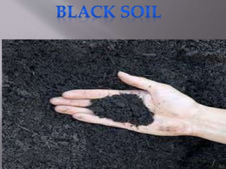 types of soil and water absorption | PPT