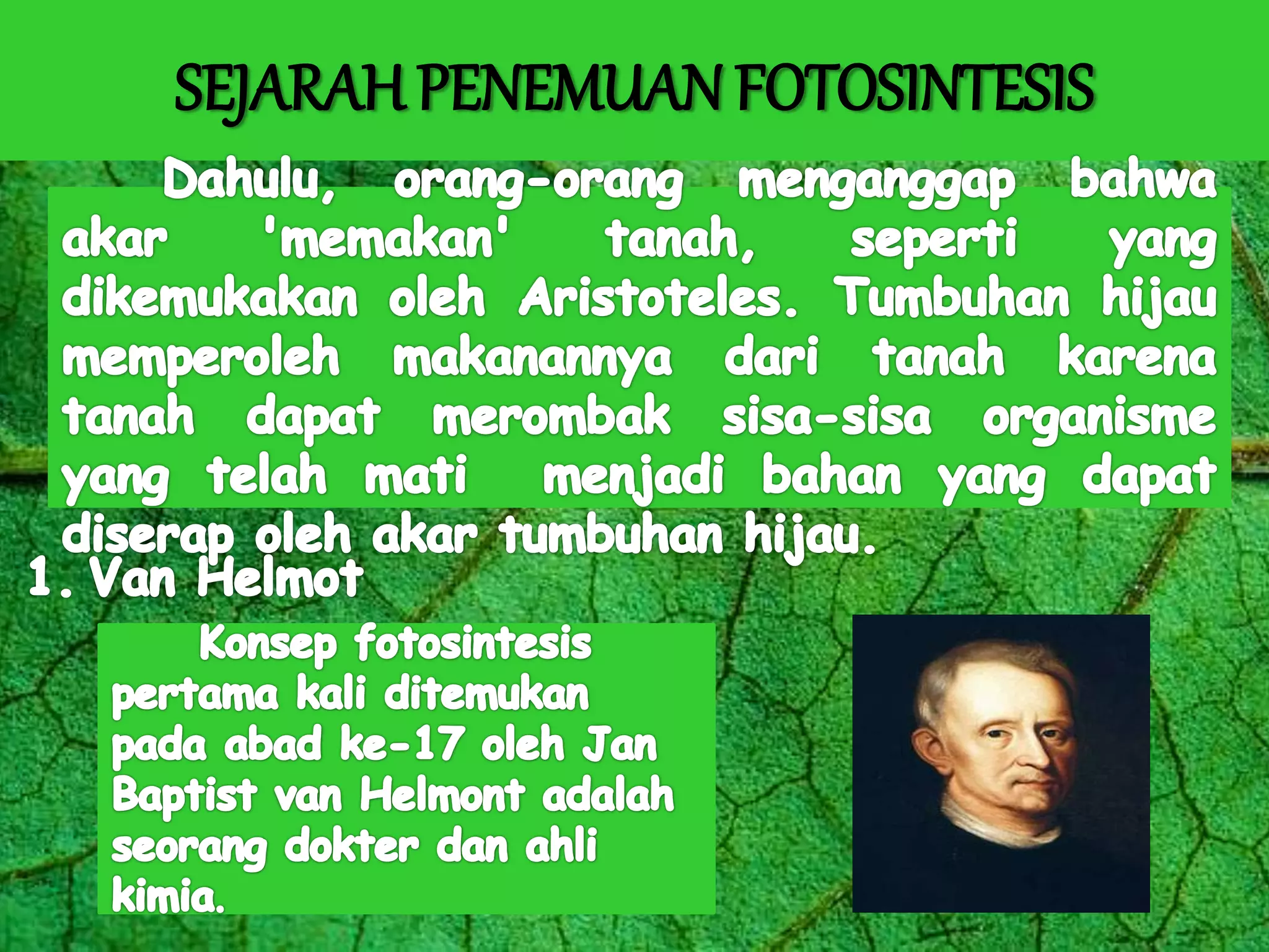 Fotosintesis Presentation | PPT