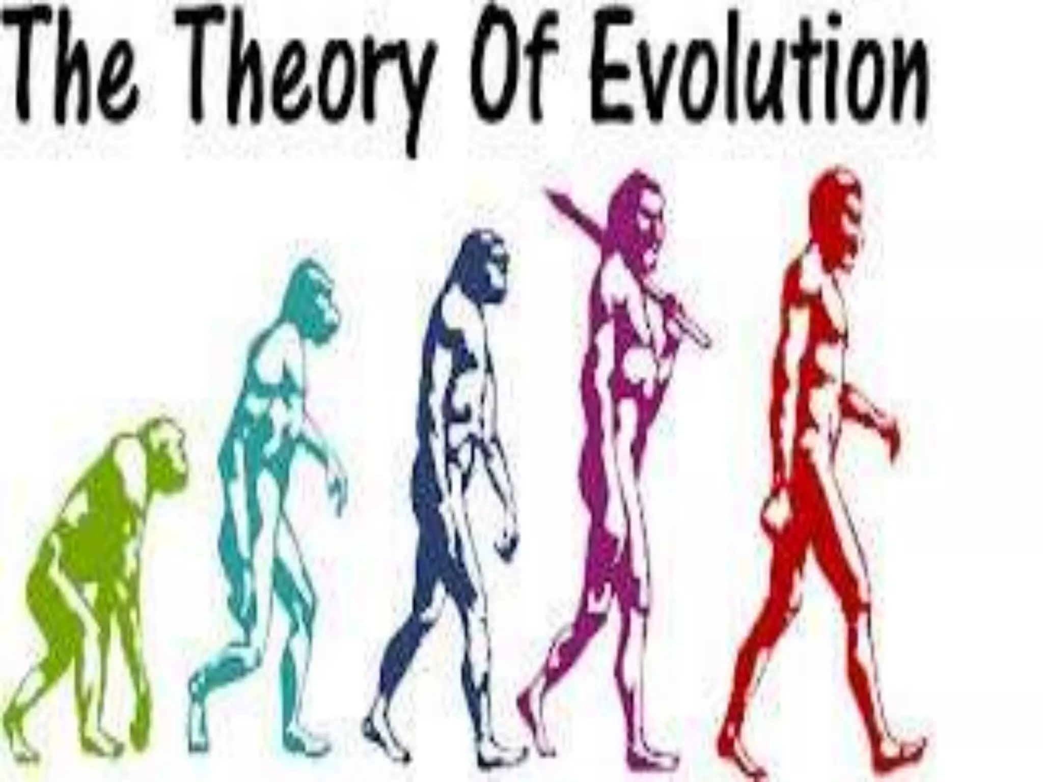 The Theory of Evolution | PPT