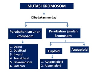 mutasi kromosom | PPTX