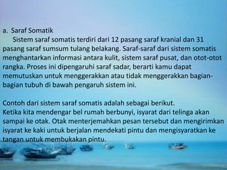 sistem saraf | PPTX