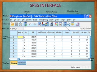 Uses of SPSS and Excel to analyze data | PPTX