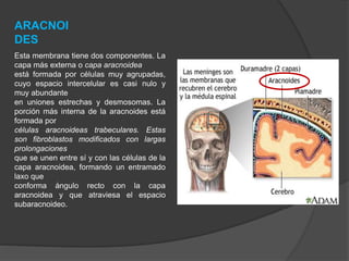 Presentation1 | PPT