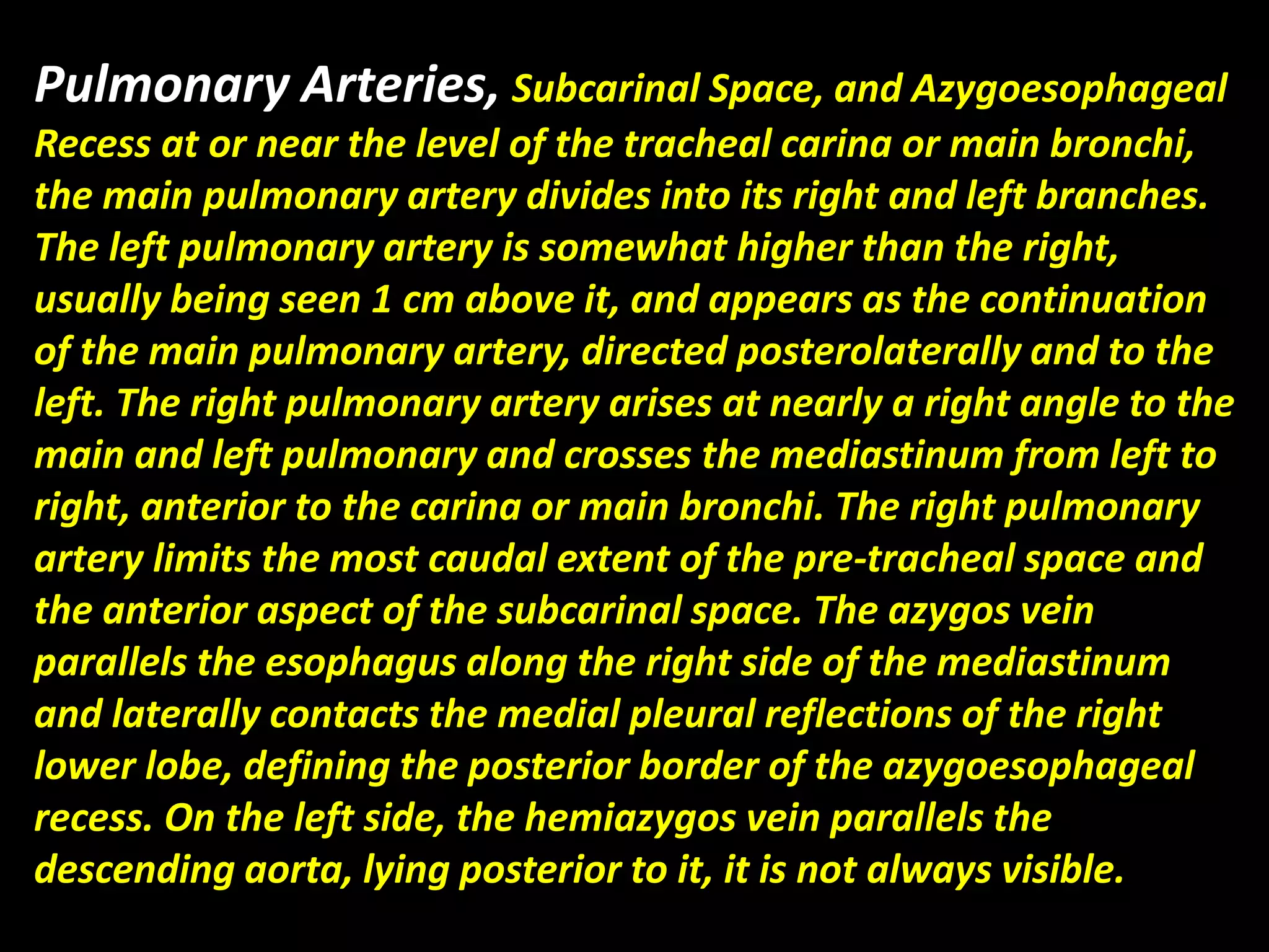 Presentation1.pptx, radiological anatomy of the chest. | PPTX