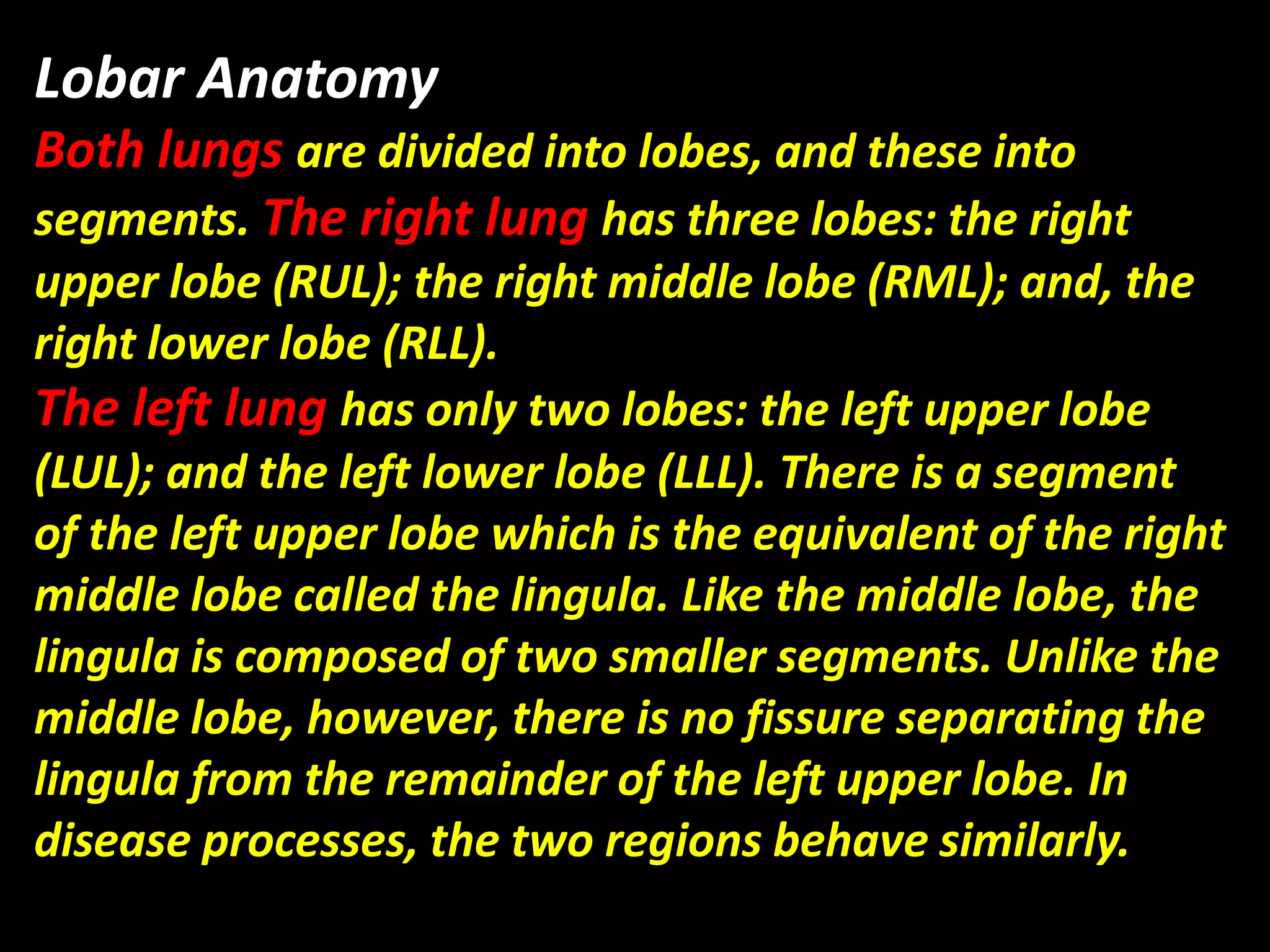 Presentation1.pptx, radiological anatomy of the chest. | PPTX