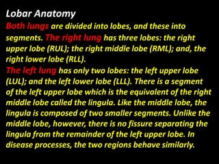Presentation1.pptx, radiological anatomy of the chest. | PPTX