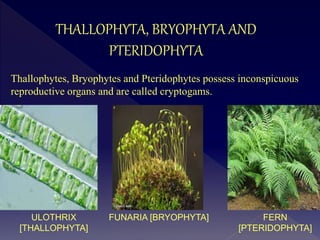 Diversity In Living Organisms | PPTX