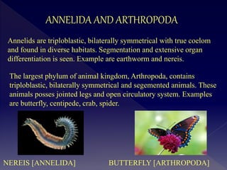 Diversity In Living Organisms | PPTX