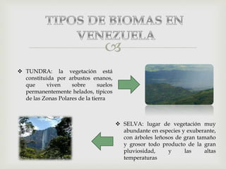 biomas en venezuela y el mundo | PPTX