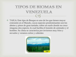 biomas en venezuela y el mundo | PPTX