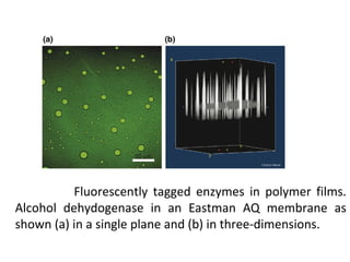 Enzymatic biofuel cells | ODP