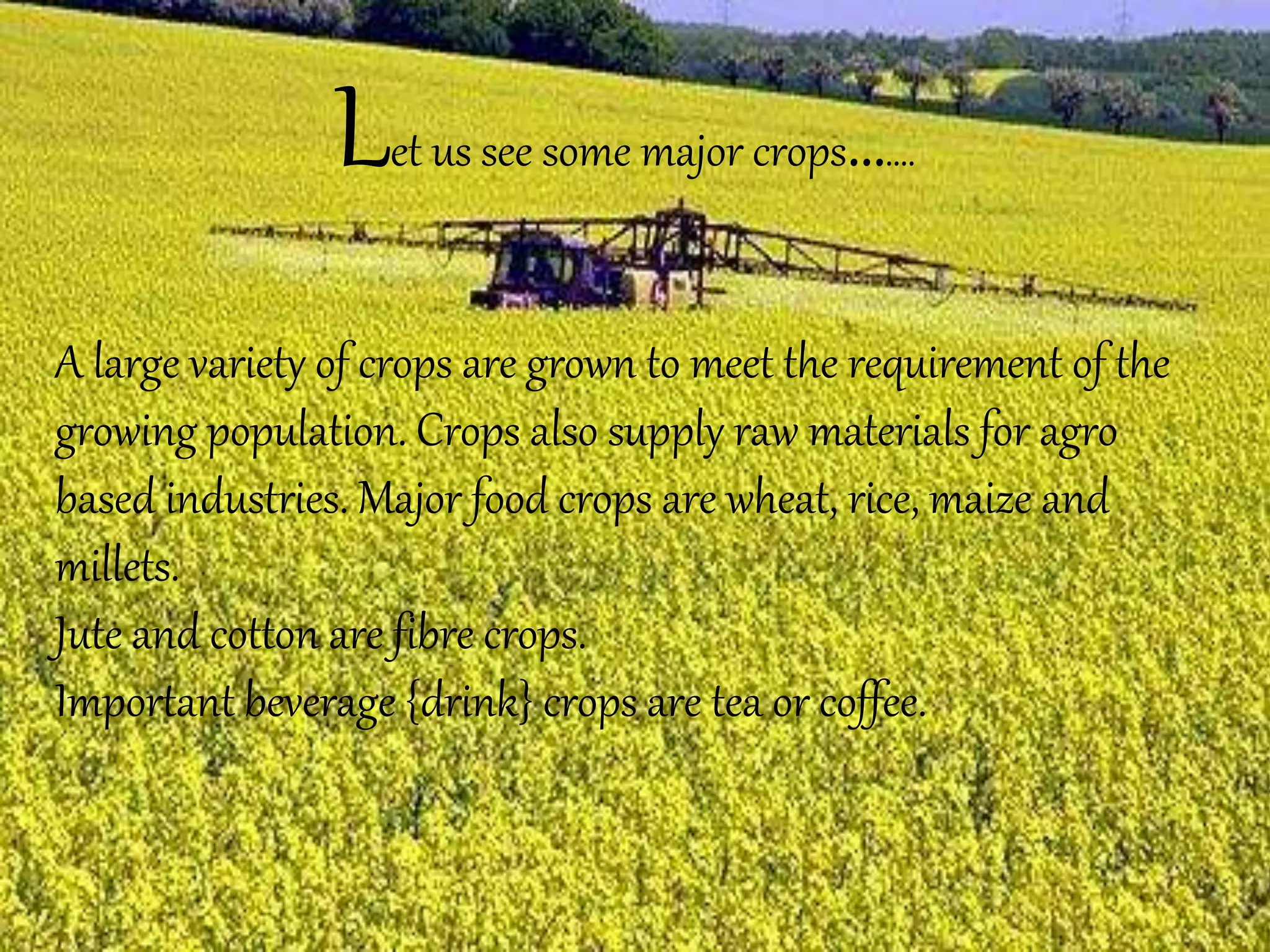 Major crops in india | PPTX