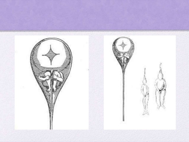 Preformismo e Epigénese