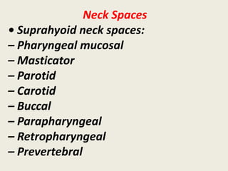 Presentation1.pptx, radiological anatomy of the neck. | PPTX