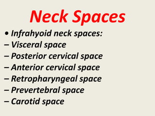 Presentation1.pptx, radiological anatomy of the neck. | PPTX