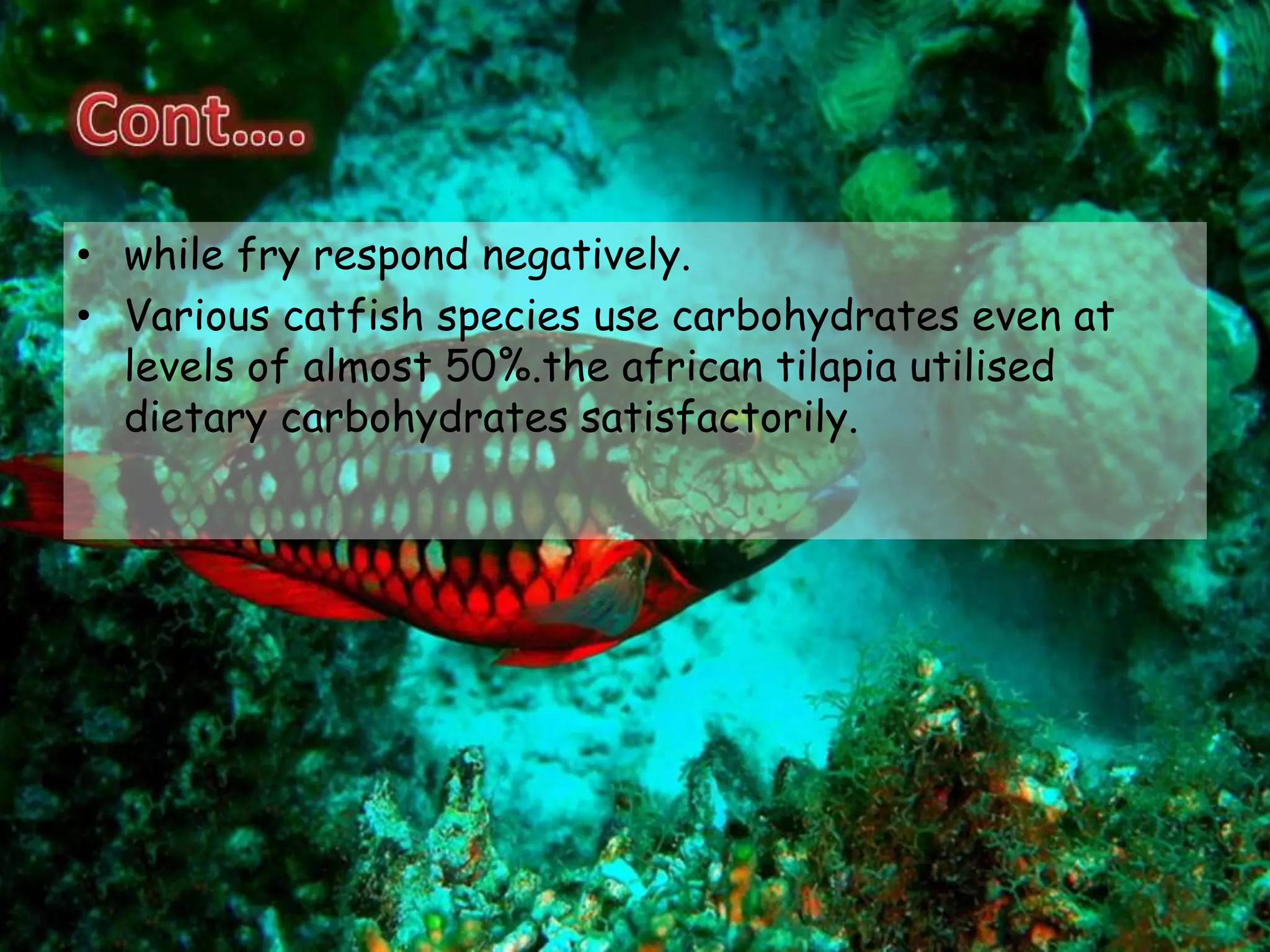 Role of carbohydrate in fish feed | PPTX