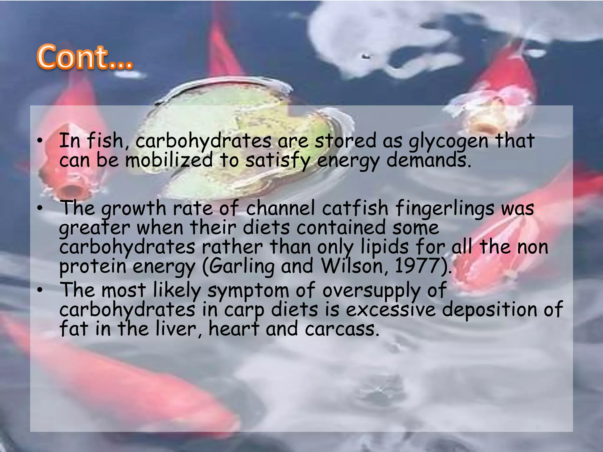 Role of carbohydrate in fish feed | PPTX