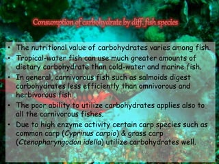 Role of carbohydrate in fish feed | PPTX