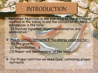 Role of carbohydrate in fish feed | PPTX