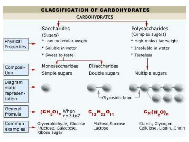 Role of carbohydrate in fish feed | PPT