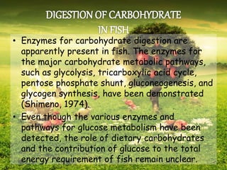 Role of carbohydrate in fish feed | PPTX