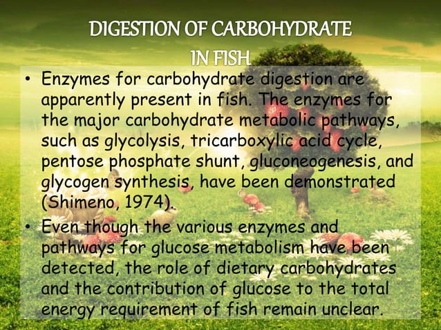 Role of carbohydrate in fish feed | PPT