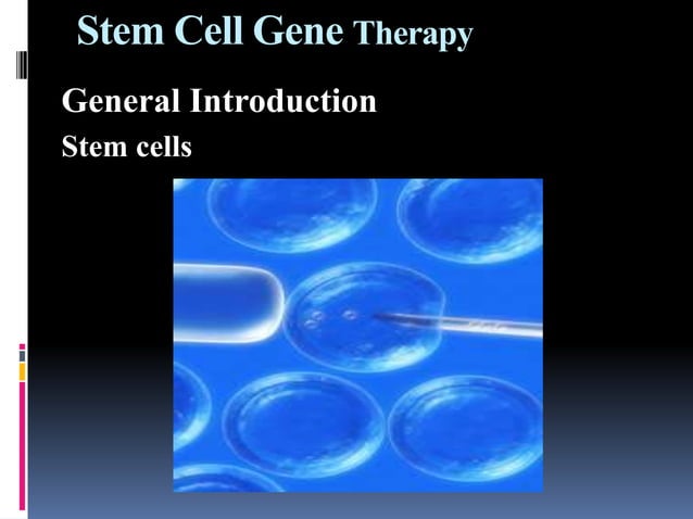 Stem Cell Gene Therapy Ppt