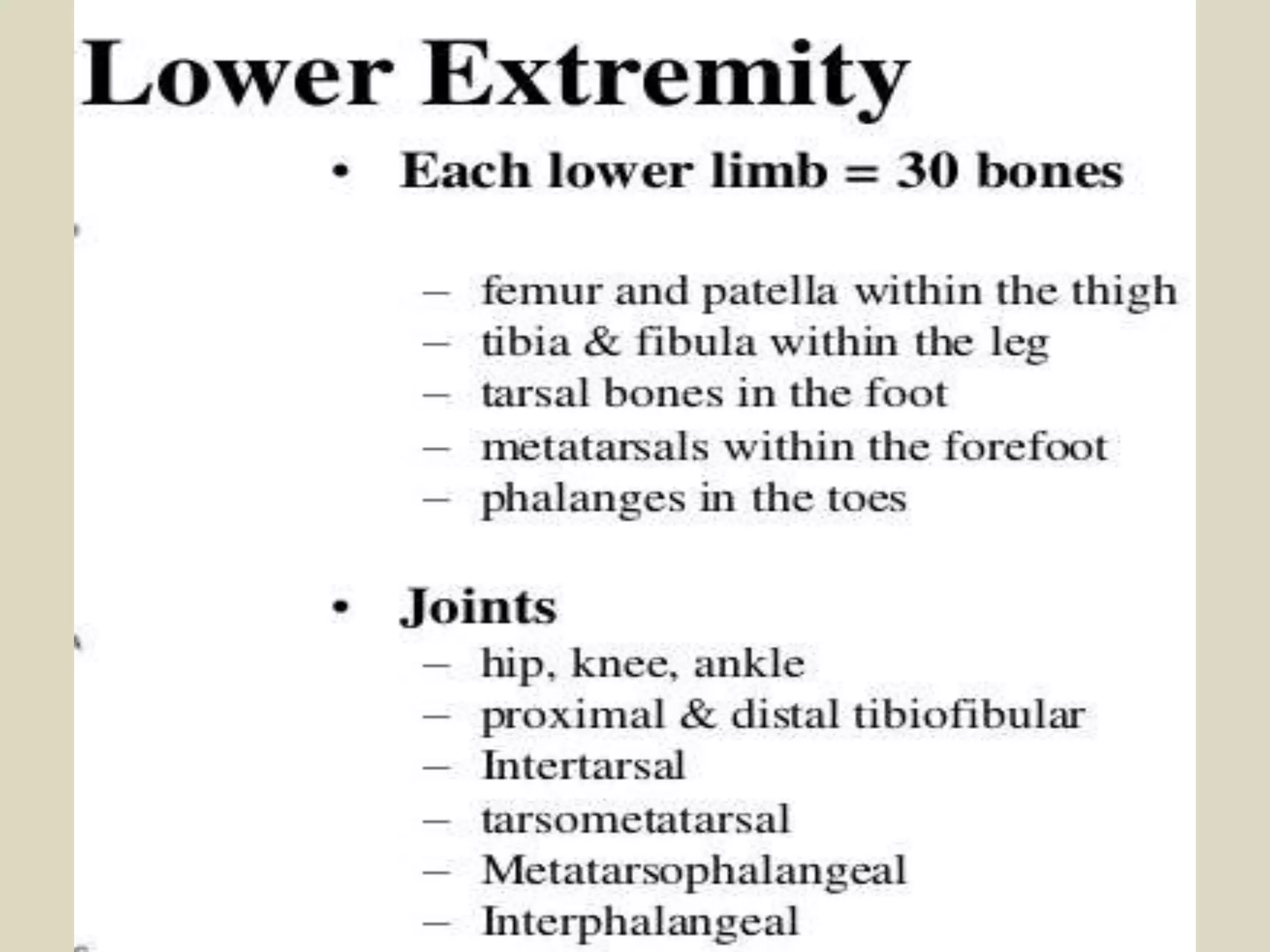 Presentation1.pptx, radiological anatomy of the thigh and leg. | PPTX