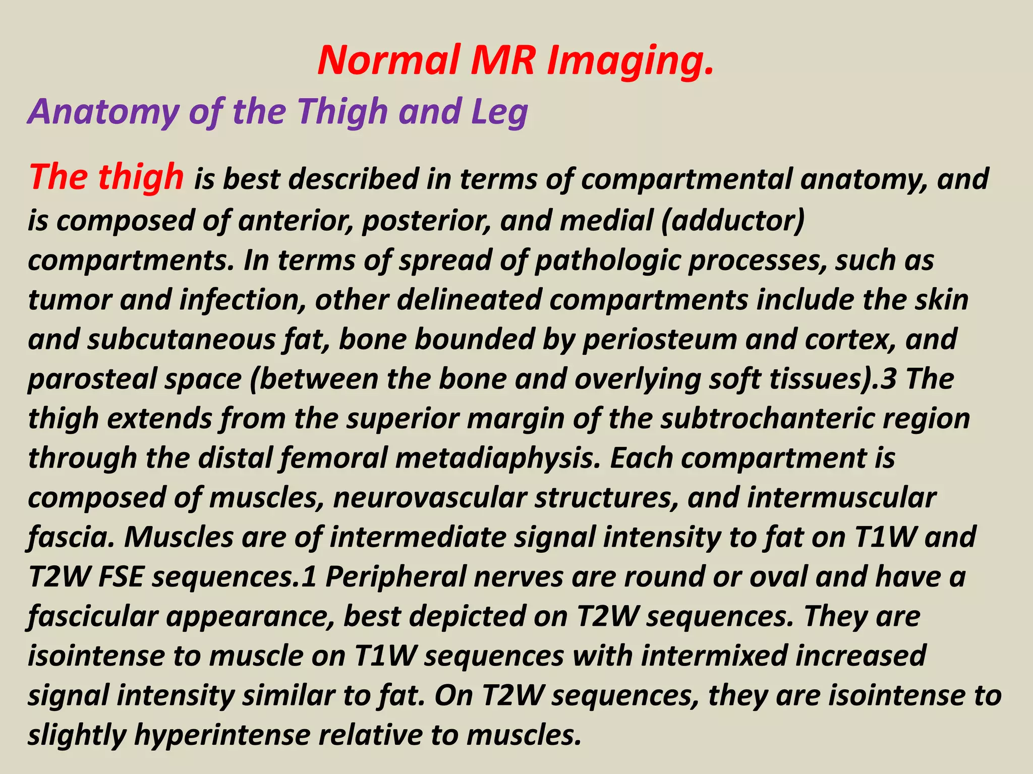 Presentation1.pptx, radiological anatomy of the thigh and leg. | PPTX