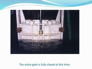 Presentation1 | PPTX