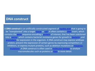 DNA Vaccine + Nanoparticles | PPTX