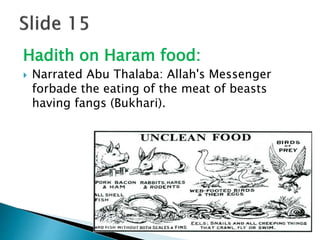 Halal And Haram Food | PPTX