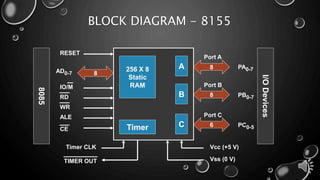 8155 Basic Concepts | PPTX