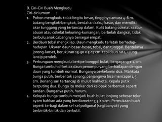 Pemaanfaatan Buah Mengkudu | PPTX
