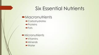 Nutrition PowerPoint | PPTX
