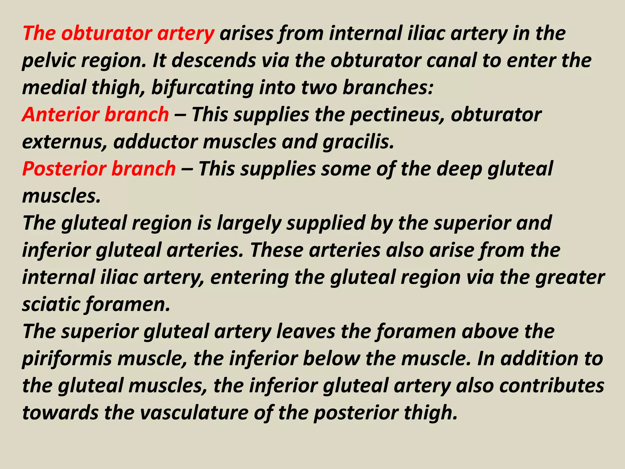 Presentation1.pptx, radiological vascular anatomy of the upper and ...