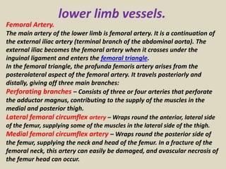 Presentation1.pptx, radiological vascular anatomy of the upper and ...