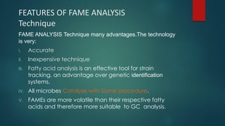 FAME (Fatty Acid Methyle ester) analysis | PDF