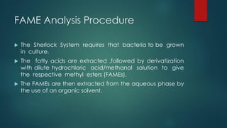 FAME (Fatty Acid Methyle ester) analysis | PDF