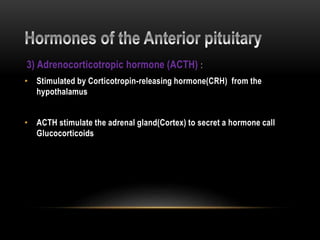 Pituitary Gland | PPTX