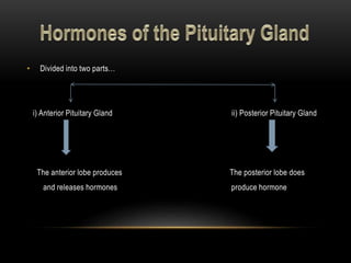 Pituitary Gland | PPTX
