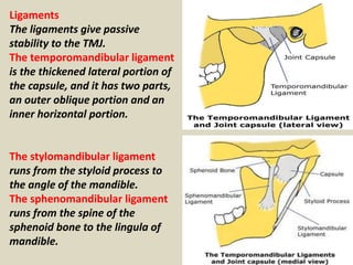 Stylomandibular Ligament