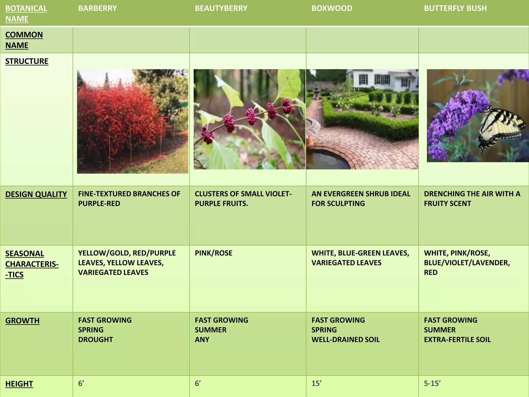 landscape- types plants-tree-shrubs | PPTX