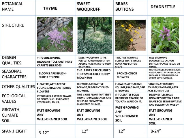 landscape- types plants-tree-shrubs | PPTX