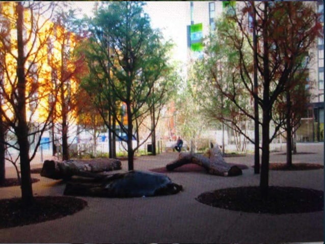 Constructed Landscape - Pocket Park | PPT